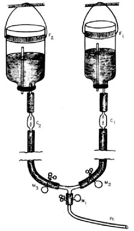 Figure 1 From A Formalin‐perfusion Fixation Method For