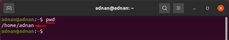 25 Basic Ubuntu Commands