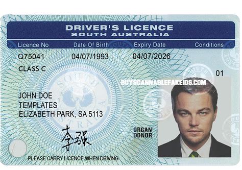 South Australia Fake Driver License Scannable Buy Scannable Fake Id