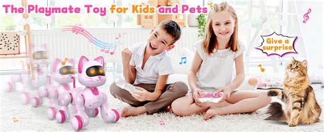 Robot Cat Interactive Toys For Girls Remote Control