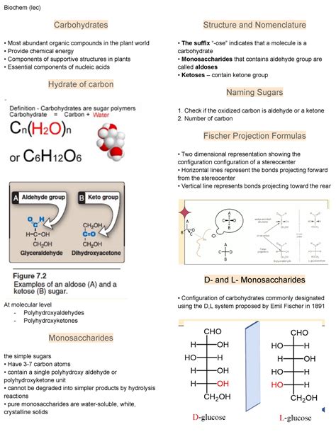Biochem Lec Lecture Notes Biochem Lec Carbohydrates Most Abundant Organic Compounds In