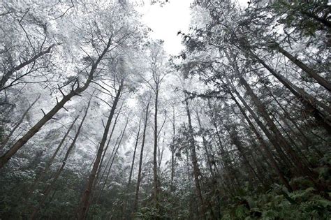 冷冷冷 明天降至1自贡真的要下雪了吗 搜狐大视野 搜狐新闻