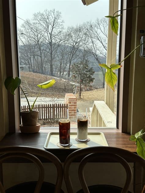 강화도 애견카페 슬로우레인 정원이 예쁜 강화카페 네이버 블로그