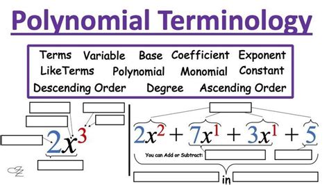 Simplify Polynomials With Fractions Poster