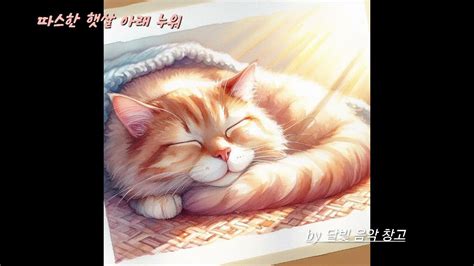 따뜻하고 포근한 피아노 따스한 햇살 아래 누워 Youtube