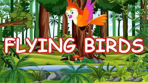 Flying Birds Animation Nationwide Stories Youtube