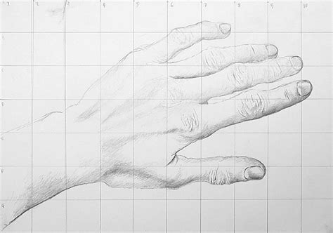 Aggregate 79 Grid Line Drawing Xkldase Edu Vn