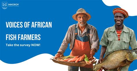 Rim Chtioui Posted On Linkedin