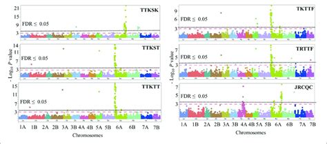 Manhattan Plots Showing P Values For Single Nucleotide Polymorphism