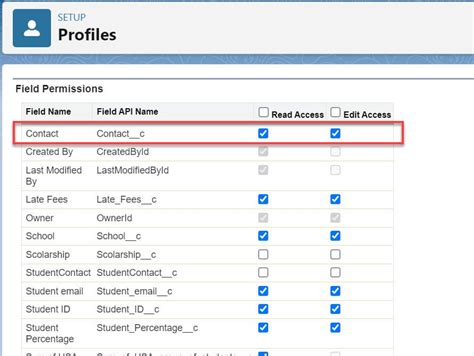 Field Level Security In Salesforce