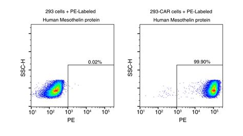 Recombinant Human Mesothelin Protein 13128 H86h1 Sp Sino Biological