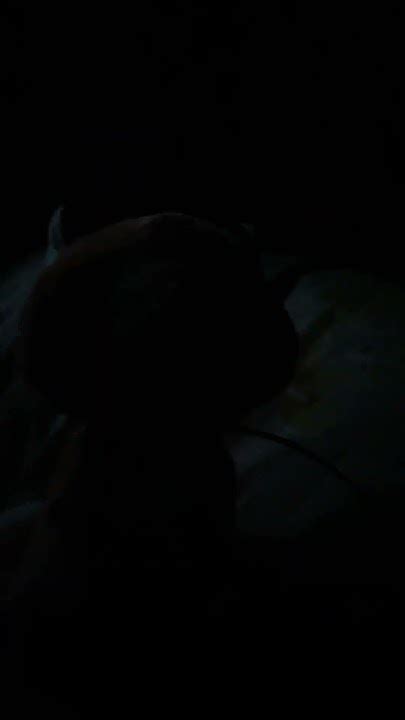 19 April 2024 Youtube