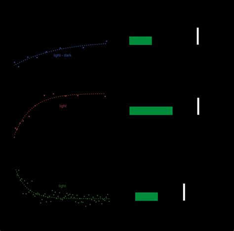 Fig S3 A Relaxation Measurements At 140 Mt Each Data Point Download Scientific Diagram