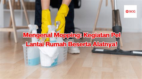 Apa Itu Cladding Dan Fungsinya Pada Rumah