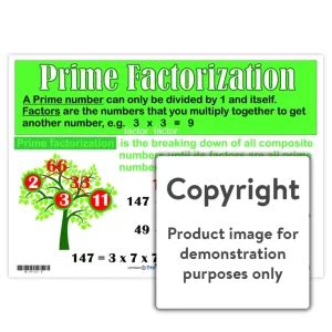 Prime Factorization Play Babe Room CC
