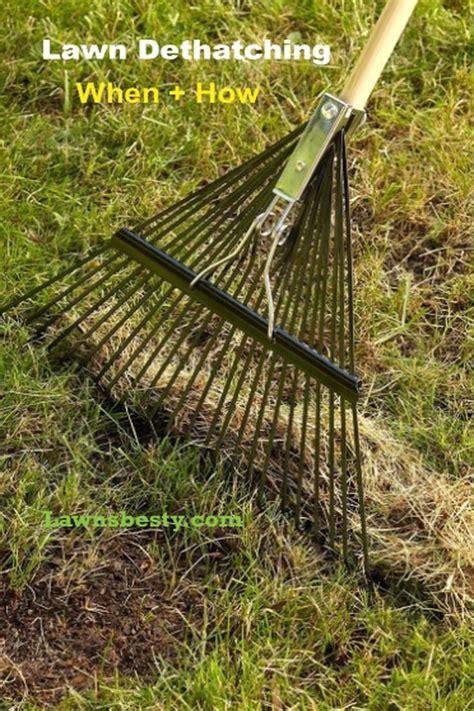When How To Dethatch Your Lawn Spring Lawn Care Dethatching Lawn