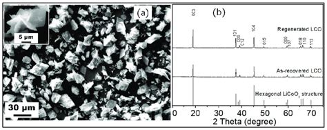 A Sem Image With Two Different Magnifications Of Licoo2 Regenerated Download Scientific