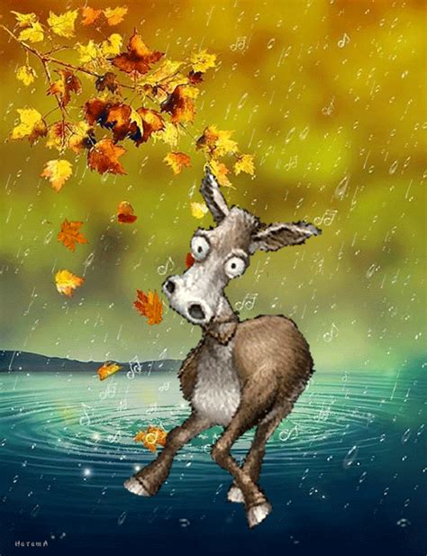 Гифки красивые смешные