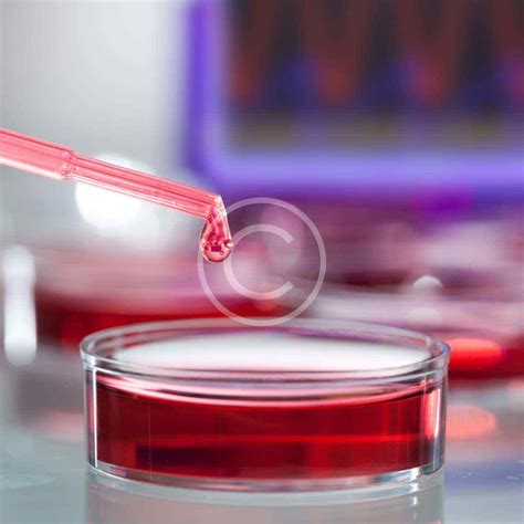 Calibration Services Mnemology Lab