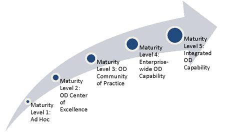 Organization Development Maturity Models