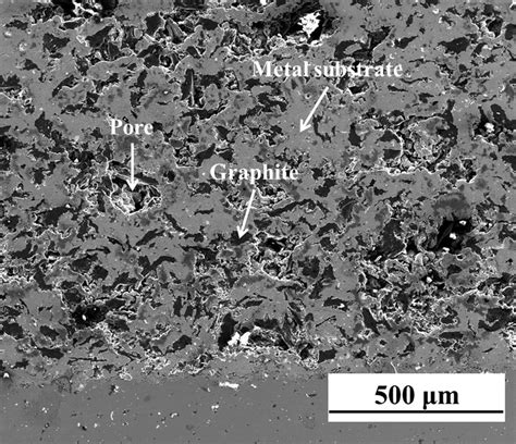 Sem Micrograph Of Nig Coating Cross Section Download Scientific Diagram