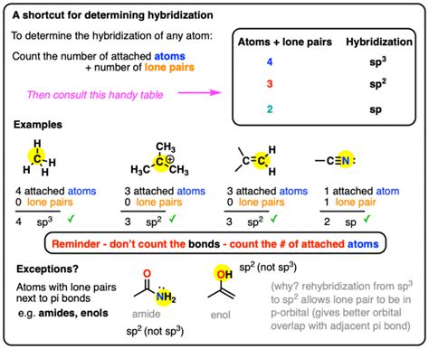 Desiccation Biology Simple
