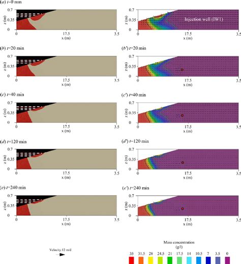 Simulated Tidal Cycle Averaged Salinity Distributions After Freshwater Download Scientific