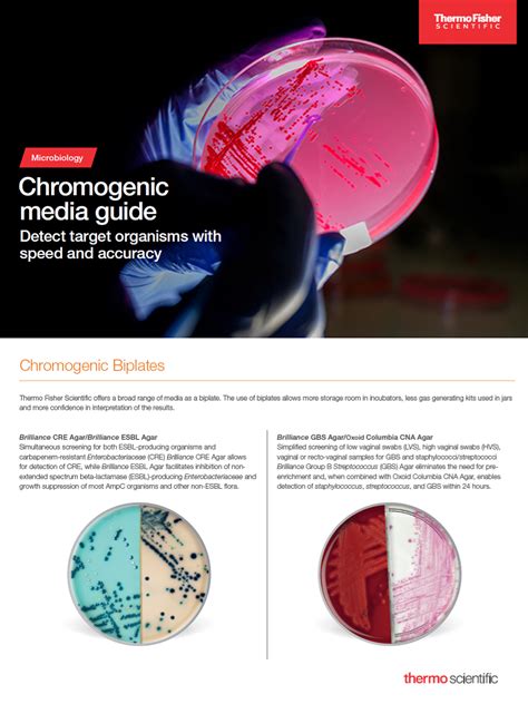 Chromogenic Media Guide For Microbiology