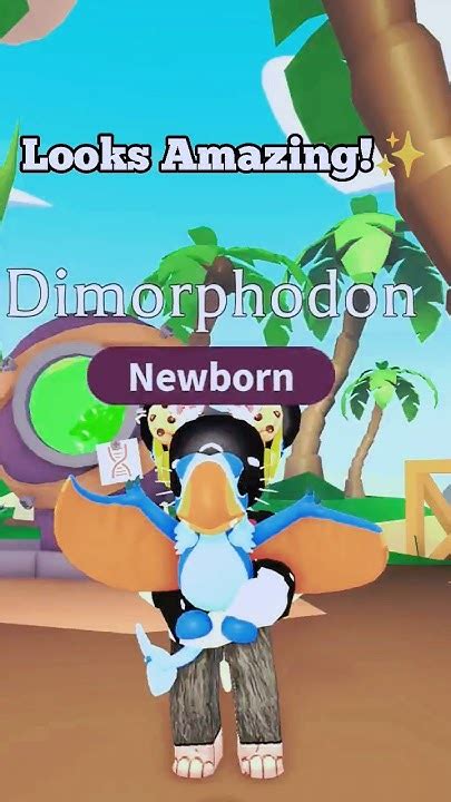 I Made The New Dimorphodon In Adopt Me Adoptme Youtube