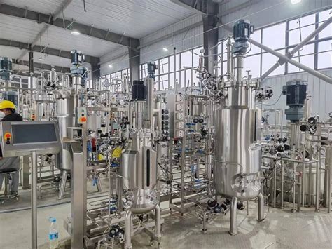 Optimizing Escherichia Coli Fermentation For Efficient Protein Expression