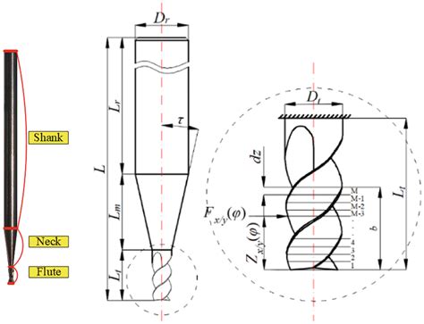 Tool Deflection Model Of Micro Mill B The Cutting Depth Mm L Lr Download Scientific
