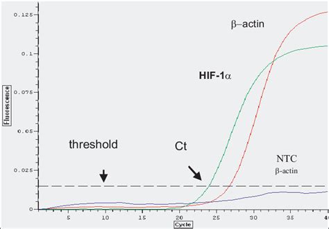 Cycle Threshold Ct Of Hif 1α Mrna β Actin And Nontemplate Control Ntc Download Scientific