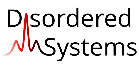 Disordered Systems Group