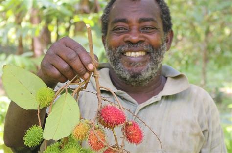 Africké Trhy V Blansku Kudy Z Nudy