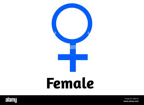 A Female Sexual Orientation Icon Symbol Shape Sign Logo Website Gender Sexual Concept Web Page