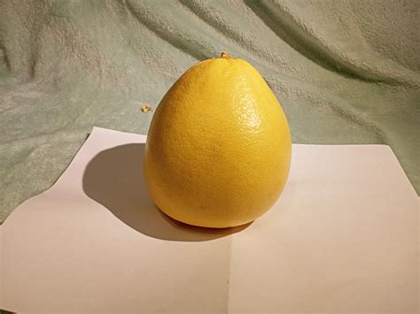 Retail Vegetable Dataset Object Detection Dataset And Pre Trained Model