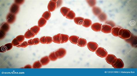 Bacteria Streptococcus Thermophilus Royalty Free Illustration 131311992