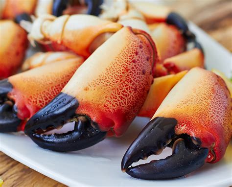 Buy Large Florida Stone Crab Claws