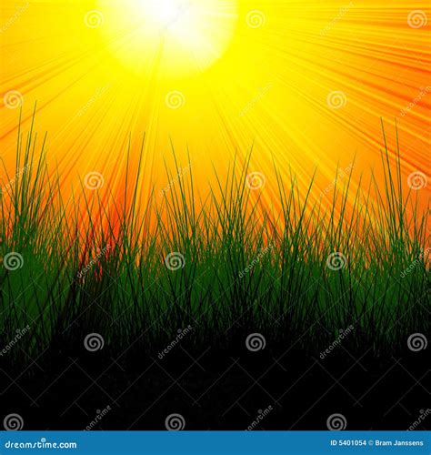 Burning Red Sun With Grass Stock Illustration Illustration Of Abstract