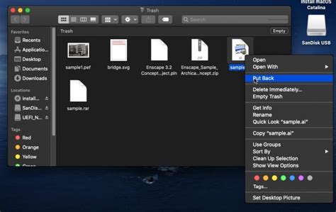 How To Recover Deleted Unsaved Adobe Illustrator Ai File