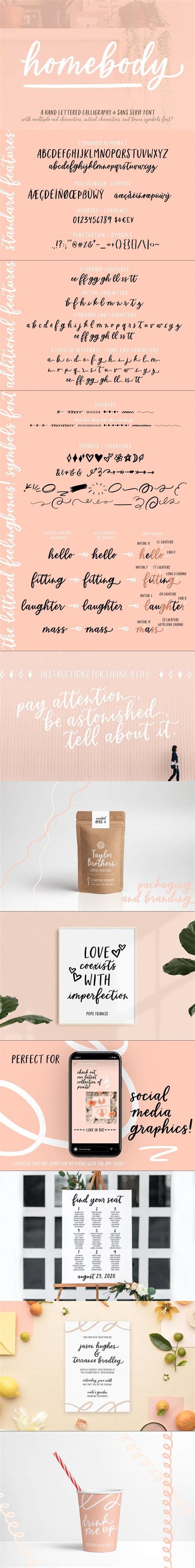 Homebody Calligraphy Script Font