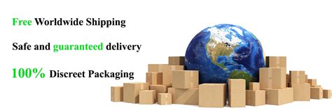 The Complete Guide On International Sex Doll Shipping