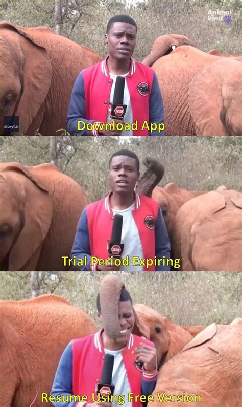 Using Free Apps Milan Skoro