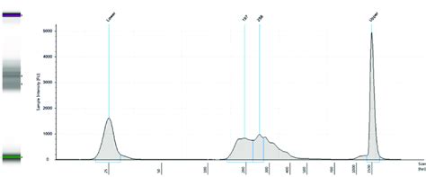 Bioanalyzer Electropherogram Of The Rrbs Library Upper And Lower Peaks