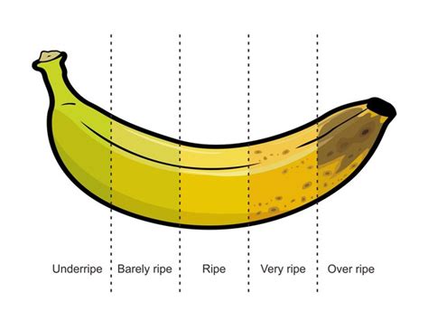 Banana Characteristics Images Free Download On Freepik