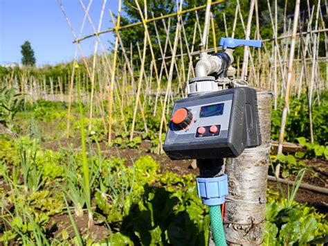 Automatic Irrigation Systems Never Forget To Water Your Garden Again