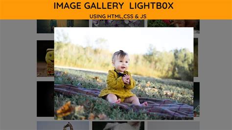 How To Create Image Gallery Using HTML CSS Javascript Lightbox Gallery Tutorial YouTube