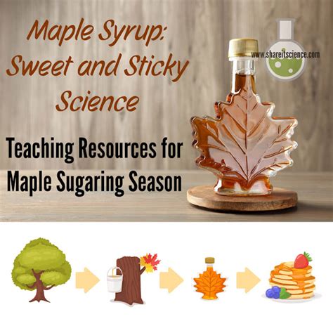 Share It Science Maple Syrup Sweet And Sticky Science