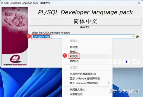 Plsql Developer 14软件包下载附安装教程 知乎