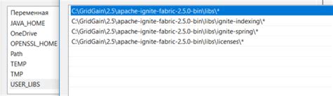 Java Apache Ignite Failed To Start Grid Failed To Create Ignite Component Stack Overflow